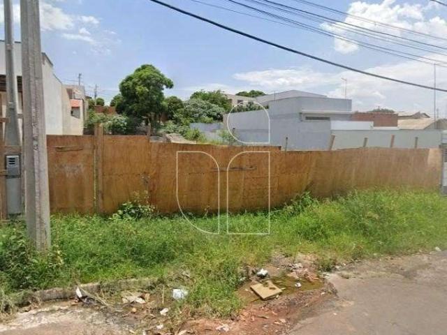 Terreno / Lote para Venda em Marília/SP Jardim Santa Antonieta