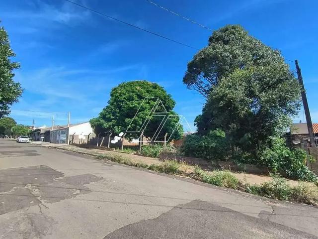 Terreno / Lote para Venda em Marília/SP Jardim Santa Antonieta
