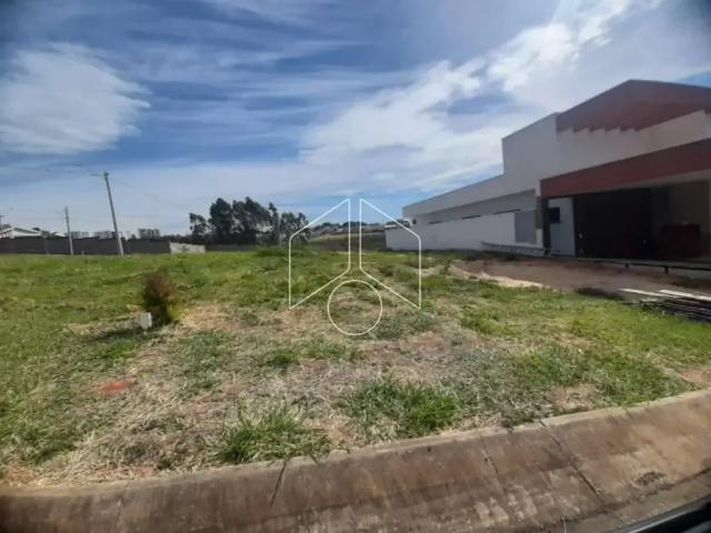 Terreno / Lote para Venda em Marília/SP Jardim Tropical