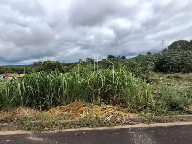 Terreno / Lote para Venda em Marília/SP Jardim Universitário