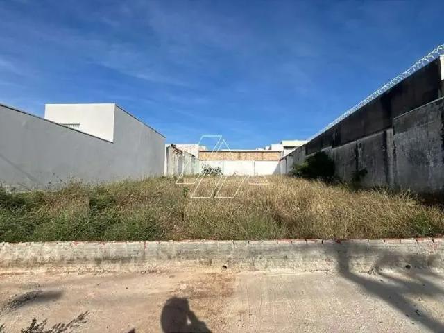 Terreno / Lote para Venda em Marília/SP Jardim Universitário