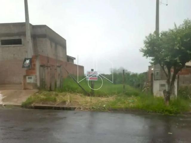 Terreno / Lote para Venda em Marília/SP Jardim Universitário