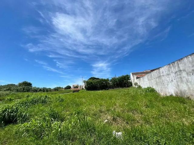 Terreno / Lote para Venda em Marília/SP Jardim Universitário