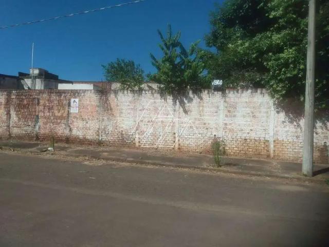 Terreno / Lote para Venda em Marília/SP Lorenzetti