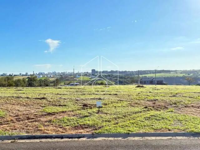 Terreno / Lote para Venda em Marília/SP Lácio