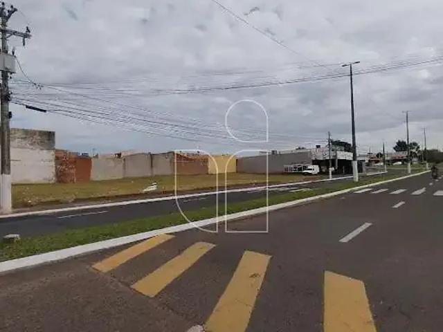 Terreno / Lote para Venda em Marília/SP Núcleo Habitacional Nova Marília