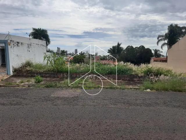 Terreno / Lote para Venda em Marília/SP Senador Salgado Filho
