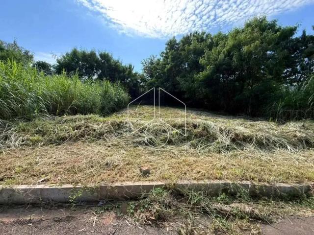 Terreno / Lote para Venda em Marília/SP Senador Salgado Filho