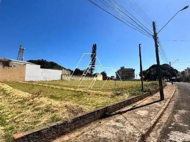 Terreno / Lote para Venda em Marília/SP Senador Salgado Filho