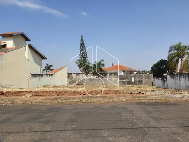 Terreno / Lote para Venda em Marília/SP Senador Salgado Filho
