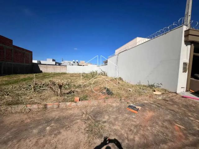 Terreno / Lote para Venda em Marília/SP Sérgio Roim Padre Nóbrega