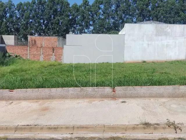 Terreno / Lote para Venda em Marília/SP Sérgio Roim Padre Nóbrega
