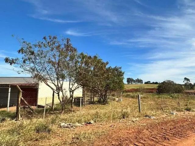 Terreno / Lote para Venda em Marília/SP Padre Nóbrega