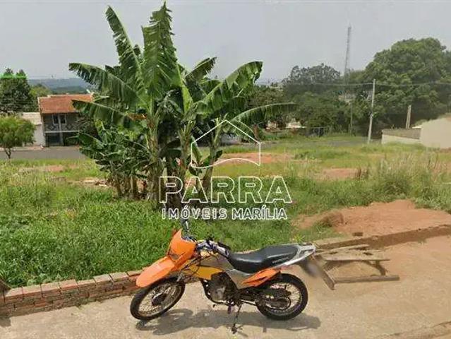 Terreno / Lote para Venda em Marília/SP Padre Nóbrega