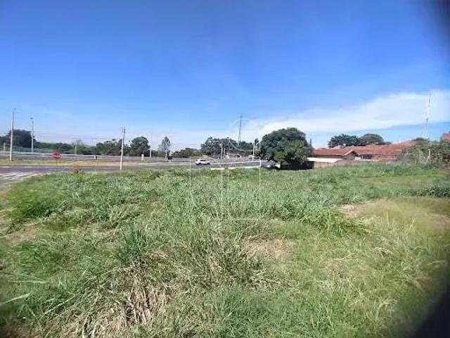 Terreno / Lote para Venda em Marília/SP Padre Nóbrega