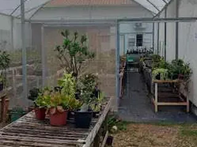 Terreno / Lote para Venda em Marília/SP Palmital