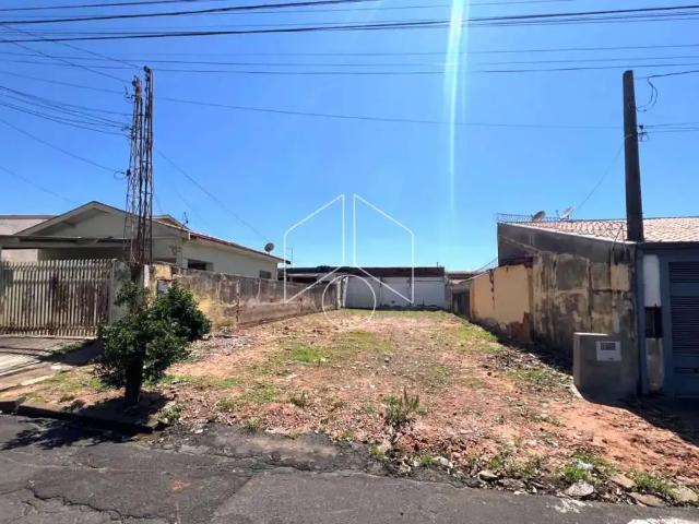 Terreno / Lote para Venda em Marília/SP Palmital