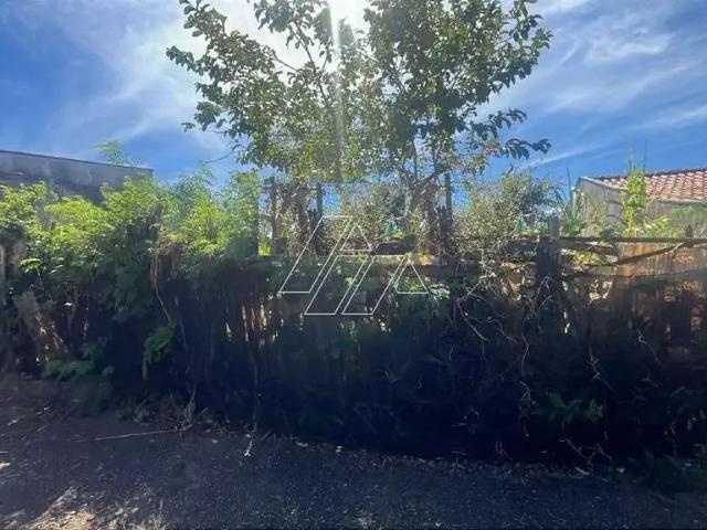 Terreno / Lote para Venda em Marília/SP Palmital