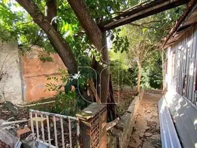 Terreno / Lote para Venda em Marília/SP Palmital