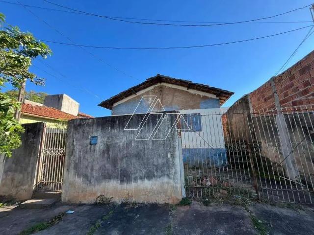 Terreno / Lote para Venda em Marília/SP Palmital