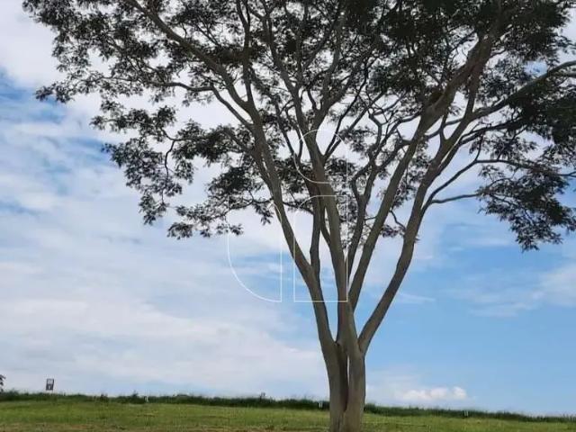 Terreno / Lote para Venda em Marília/SP Parque das Esmeraldas