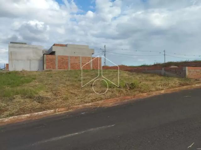 Terreno / Lote para Venda em Marília/SP Parque das Flores