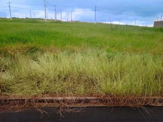 Terreno / Lote para Venda em Marília/SP Parque das Flores