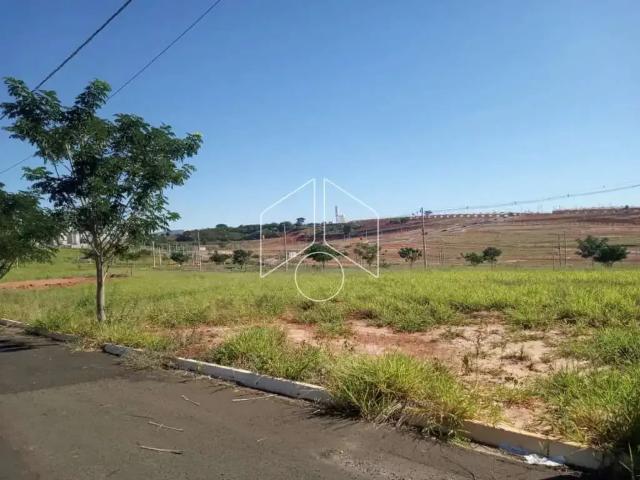 Terreno / Lote para Venda em Marília/SP Antenor Barion