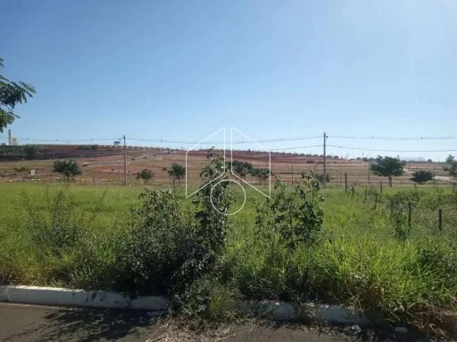 Terreno / Lote para Venda em Marília/SP Antenor Barion