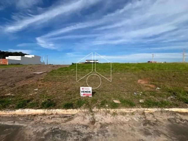 Terreno / Lote para Venda em Marília/SP Antenor Barion