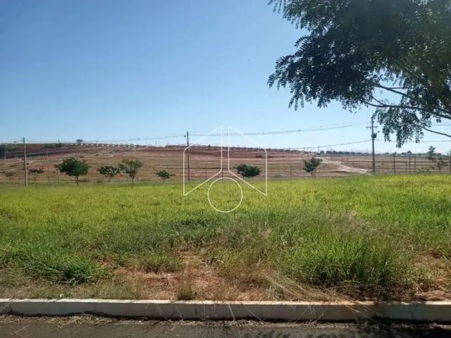 Terreno / Lote para Venda em Marília/SP Antenor Barion