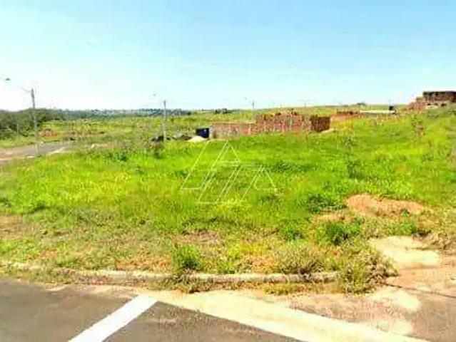 Terreno / Lote para Venda em Marília/SP Parque das Flores