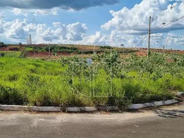 Terreno / Lote para Venda em Marília/SP Parque das Flores