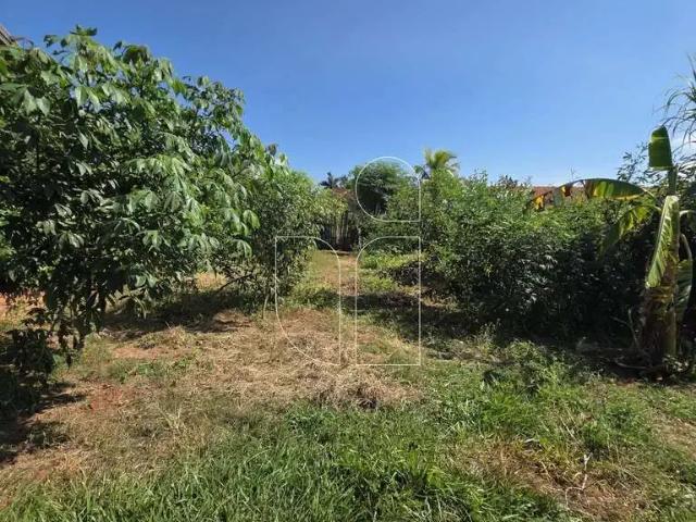 Terreno / Lote para Venda em Marília/SP Parque dos Sabiás II Padre Nóbrega
