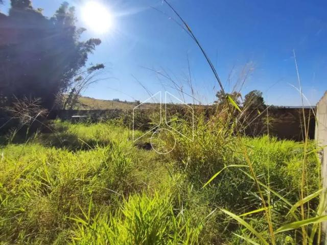Terreno / Lote para Venda em Marília/SP Parque Serra Dourada