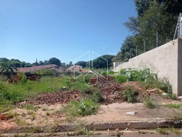 Terreno / Lote para Venda em Marília/SP Vila Romana