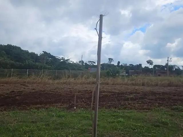 Terreno / Lote para Venda em Maringá/PR Conjunto Habitacional João de Barro Thaís