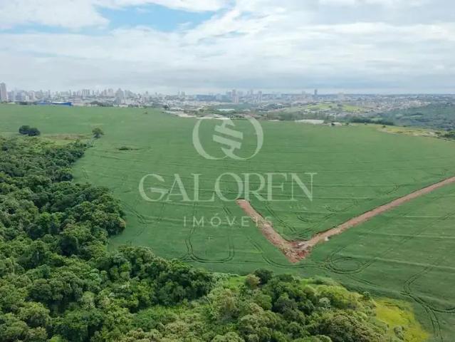 Terreno / Lote para Venda em Maringá/PR Gleba Ribeirão Pinguim