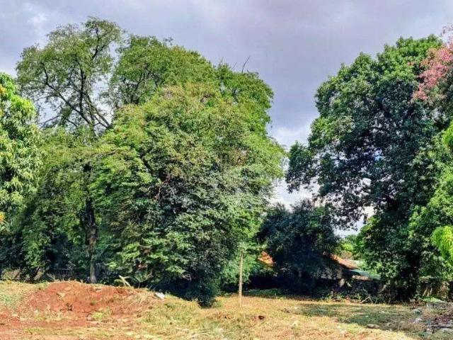 Terreno / Lote para Venda em Maringá/PR Jardim Alvorada
