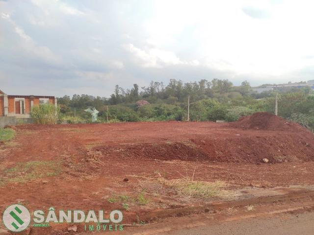 Terreno / Lote para Venda em Maringá/PR Jardim das Flores