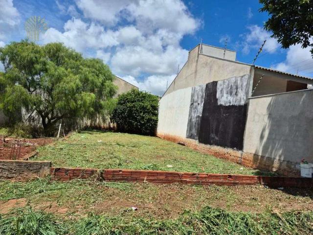 Terreno / Lote para Venda em Maringá/PR Jardim Paulista III