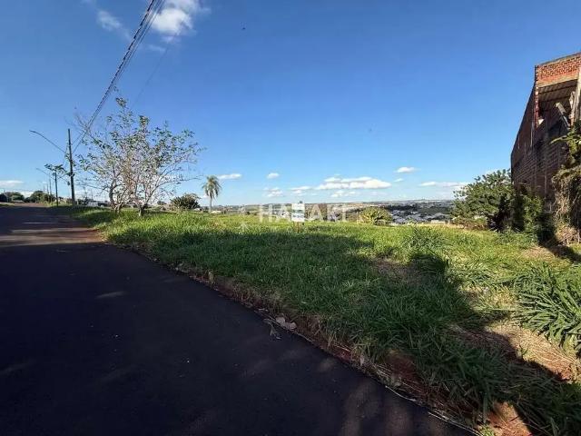 Terreno / Lote para Venda em Maringá/PR Jardim Paulista III