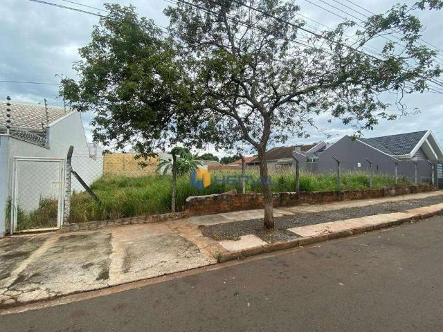 Terreno / Lote para Venda em Maringá/PR Jardim Santa Rosa