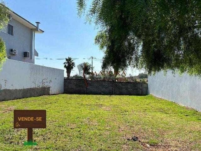 Terreno / Lote para Venda em Porto Rico/PR Loteamento Riviera