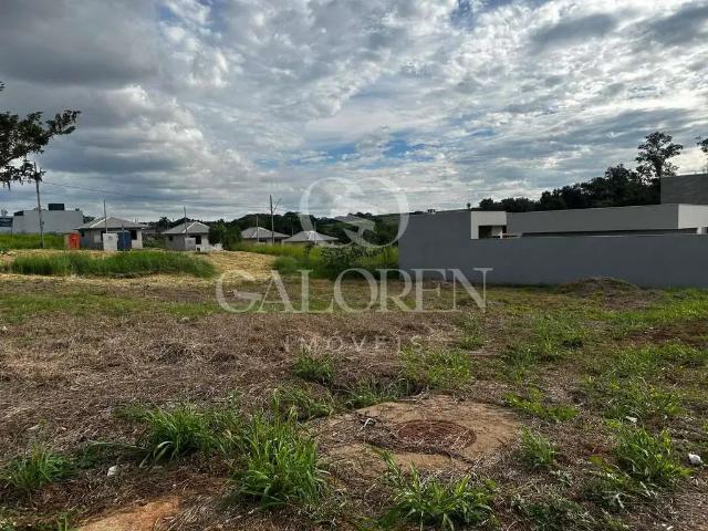 Terreno / Lote para Venda em Maringá/PR Zona 01