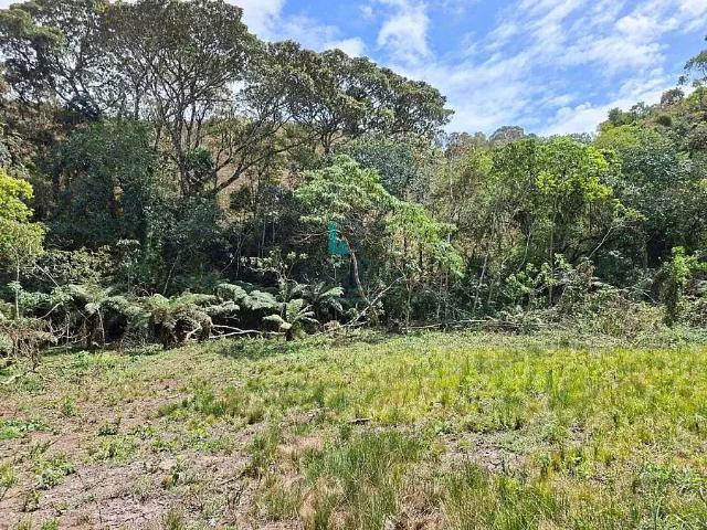Terreno / Lote para Venda em Marmelópolis/MG Centro