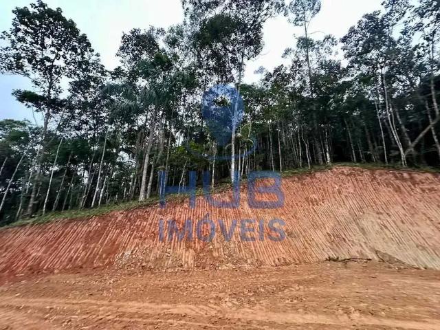 Terreno / Lote para Venda em Massaranduba/PB Centro