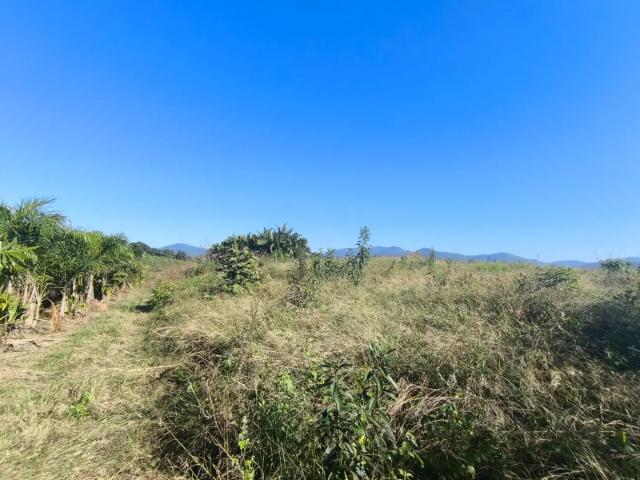Terreno / Lote para Venda em Massaranduba/SC Zona Rural