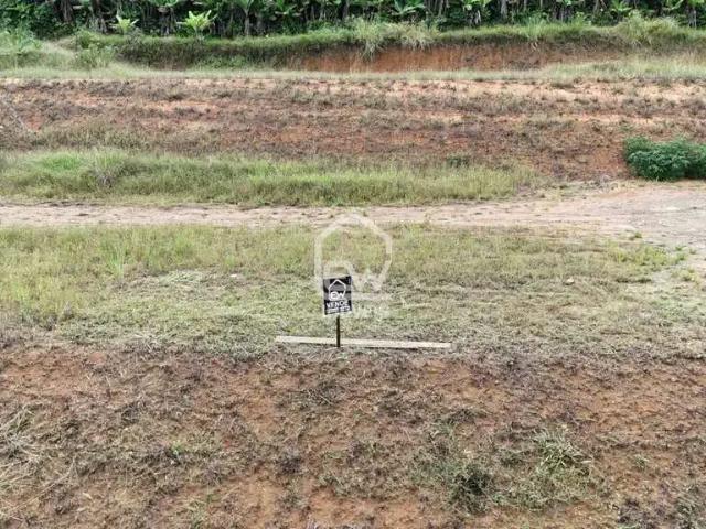 Terreno / Lote para Venda em Massaranduba/SC Butuca 1 Quartos