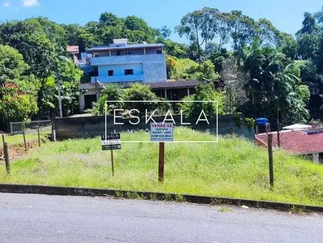 Terreno / Lote para Venda em Massaranduba/SC Centro
